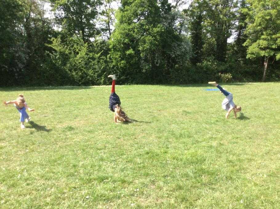 Four Elms Primary School - Profile (2022)