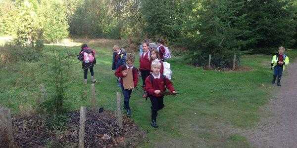 Shipbourne School - Profile (2023)