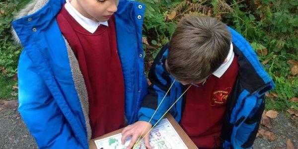 Shipbourne School - Profile (2023)