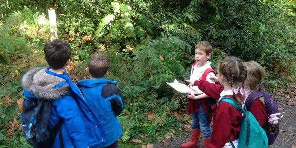 Shipbourne School - Profile (2023)