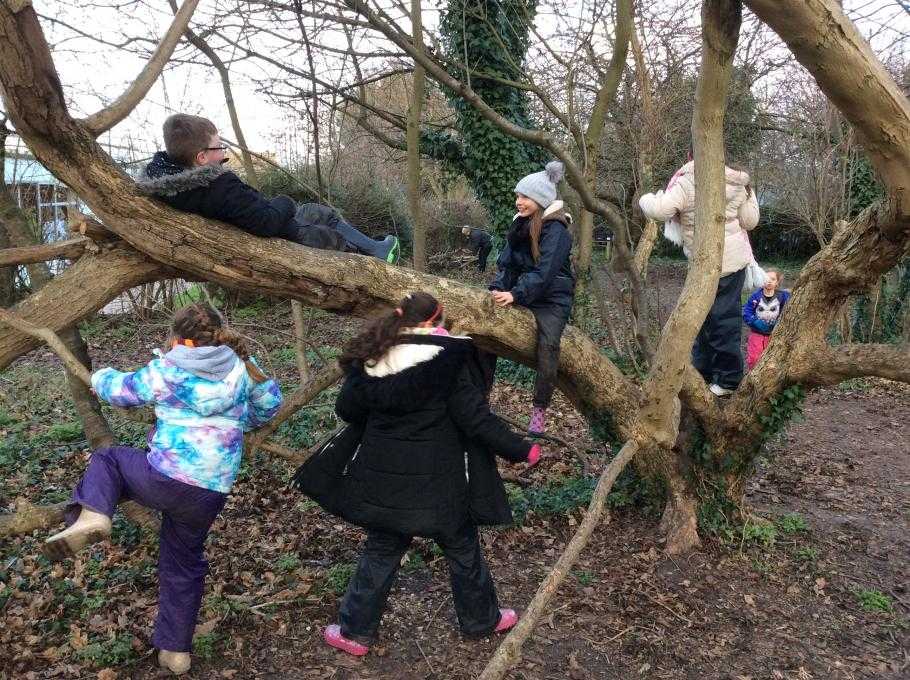 Teynham Parochial Church of England Primary School - Profile