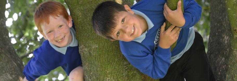 Catforth Primary School - Profile (2024)