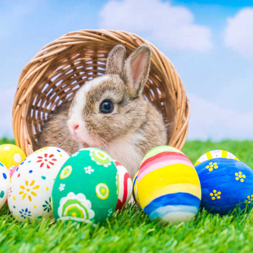 Seven Stars Primary School - Profile (2024)