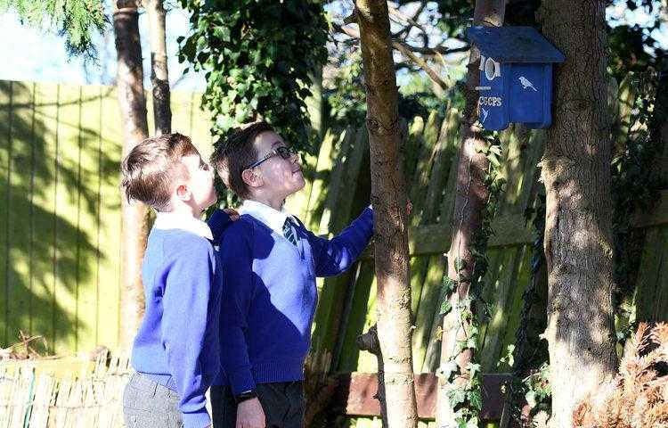 Carleton Green Community Primary School - Profile (2023)