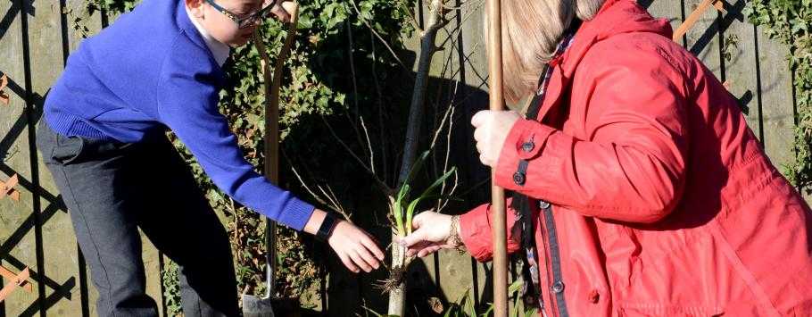 Carleton Green Community Primary School - Profile (2023)