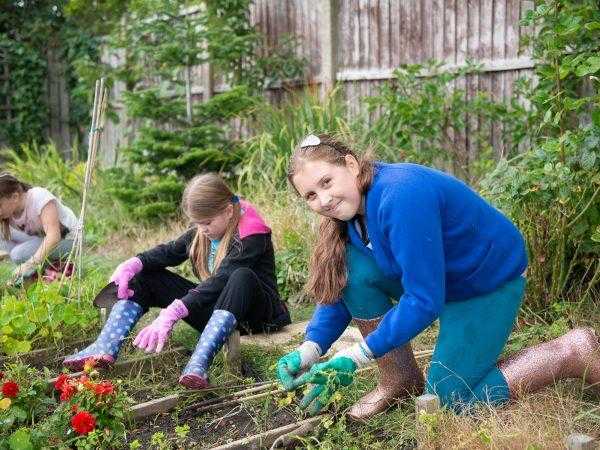 Staining Church of England Voluntary Controlled Primary School - Profile