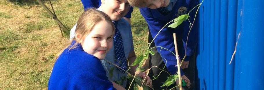 Medlar-with-Wesham Church of England Primary School - Profile