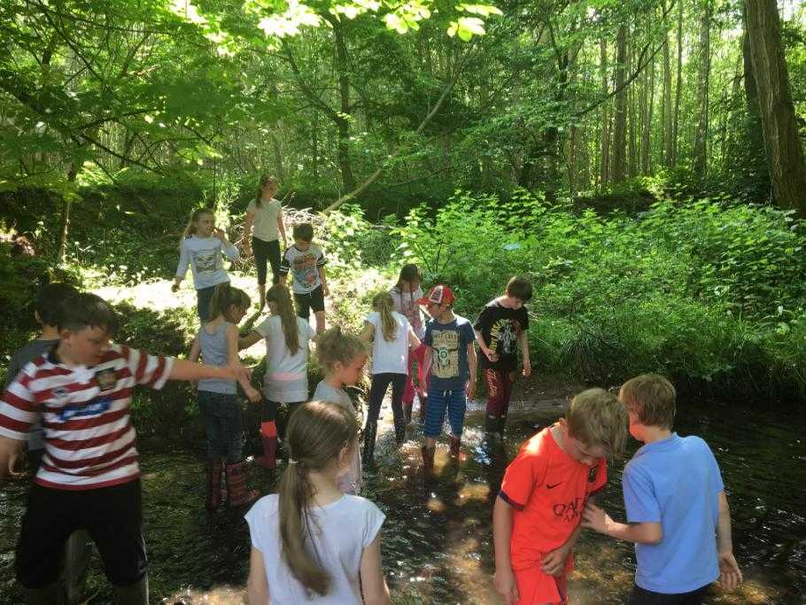 Best Schools in Burscough (2024)