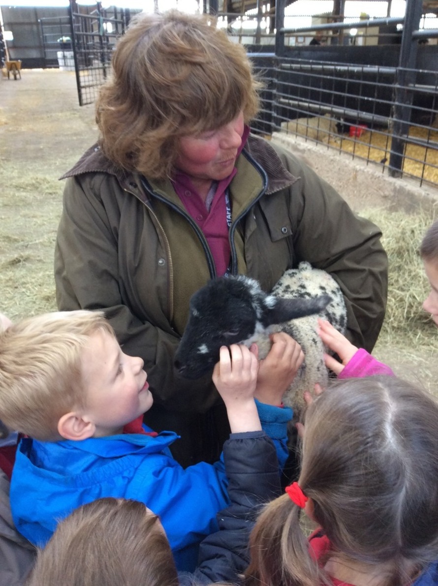 Hemington Primary School in Lockington-Hemington - Profile (2023)