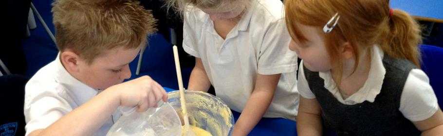 The Billinghay Church of England Primary School - Profile (2024)