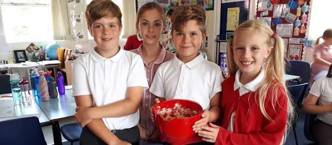 The Leasingham St Andrew's Church of England Primary School - Profile