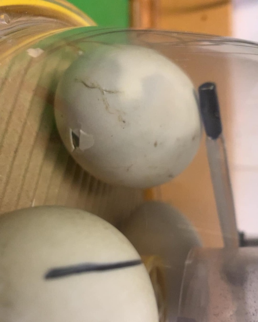 The St Gilbert of Sempringham Church of England Primary School, Pointon ...