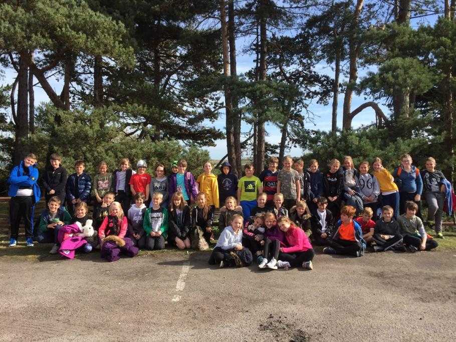 The Butterwick Pinchbeck's Endowed CofE Primary School - Profile