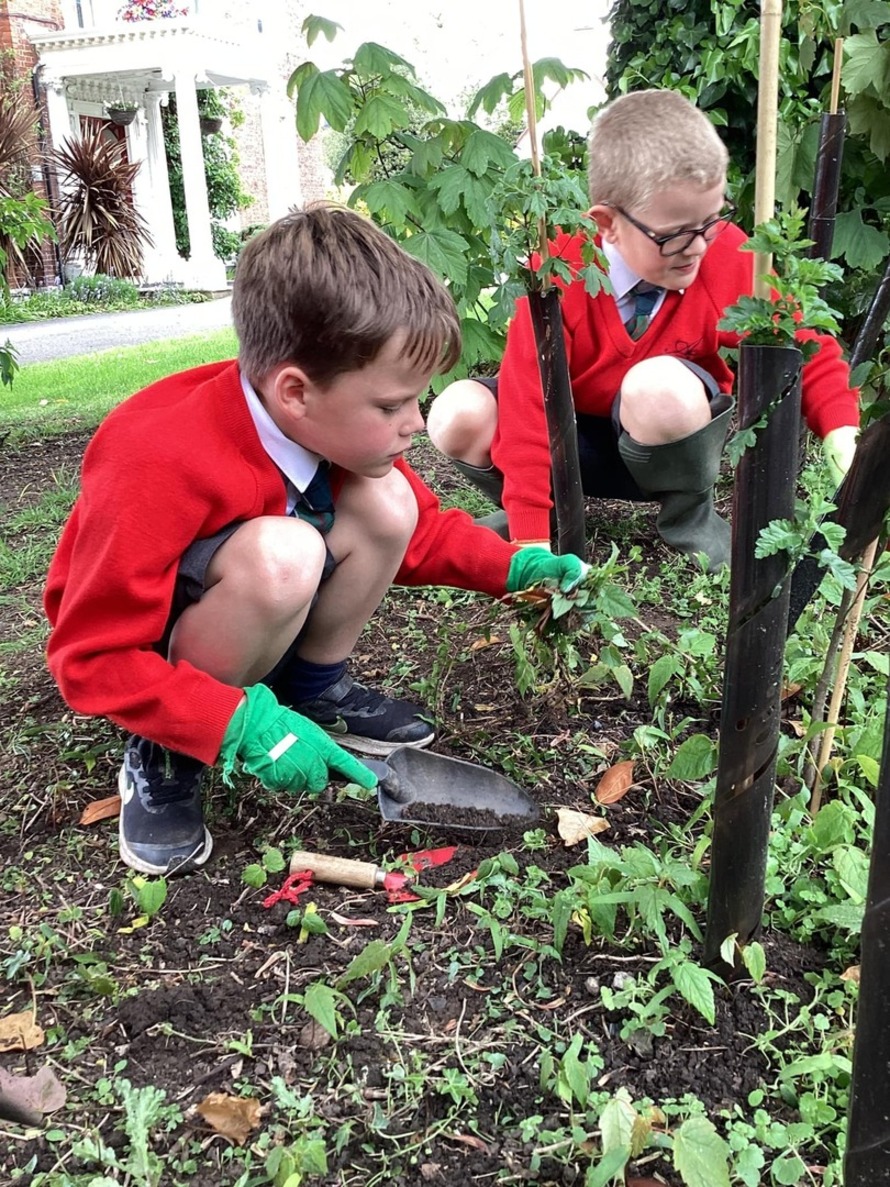 Ayscoughfee Hall School Gallery: Photos of Campus Life, Activities ...