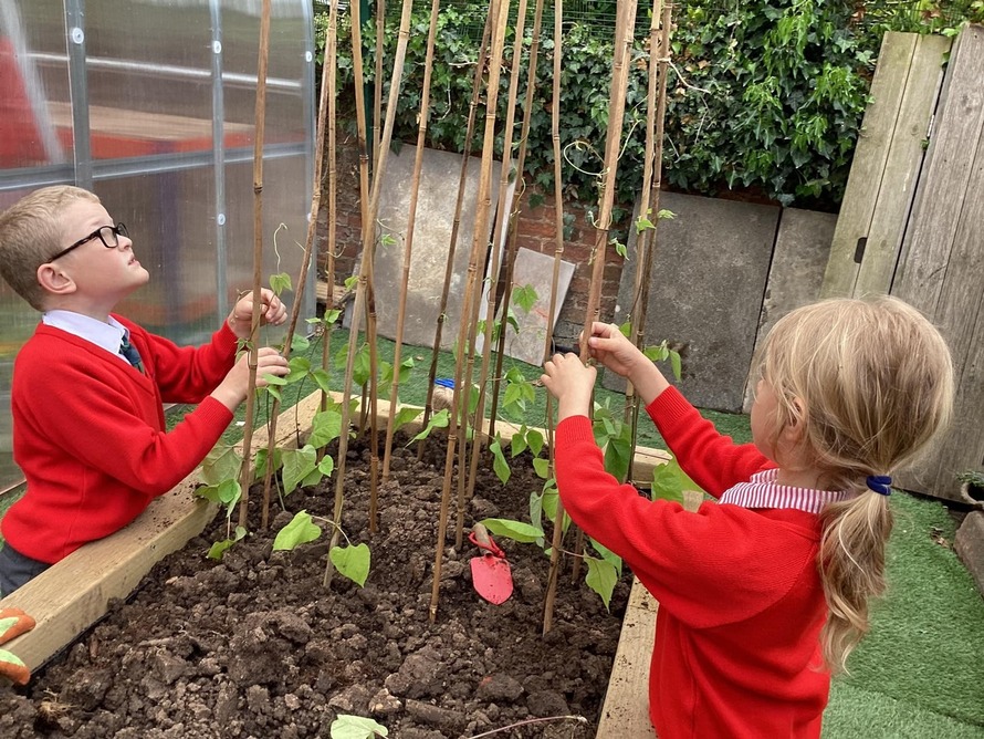 Ayscoughfee Hall School Gallery: Photos of Campus Life, Activities ...