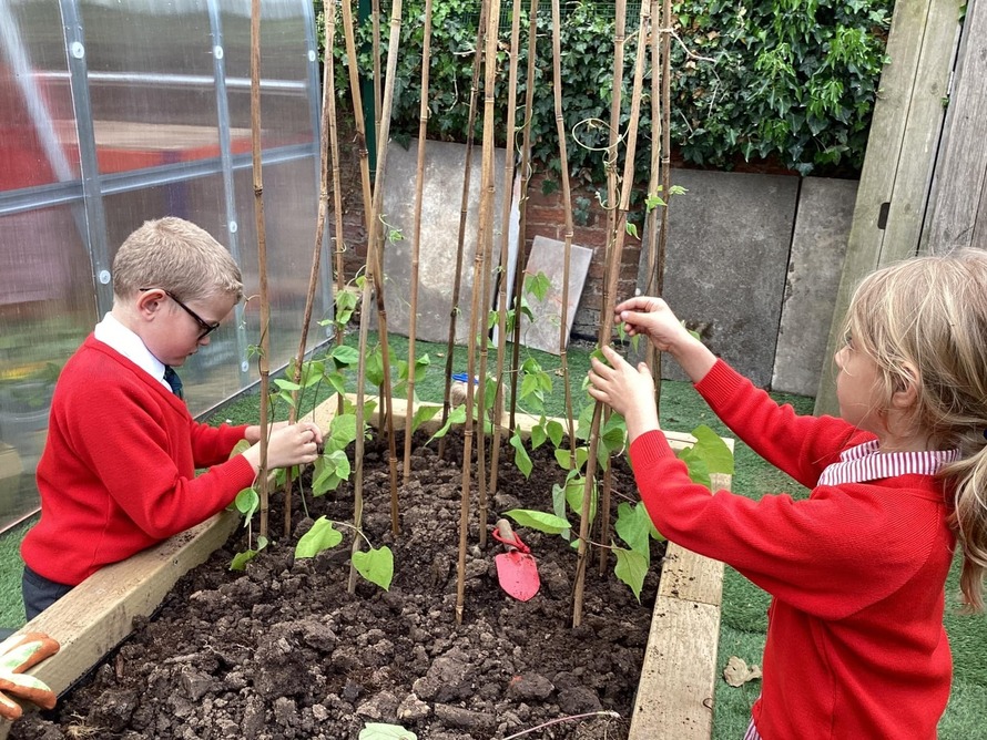 Ayscoughfee Hall School Gallery: Photos of Campus Life, Activities ...