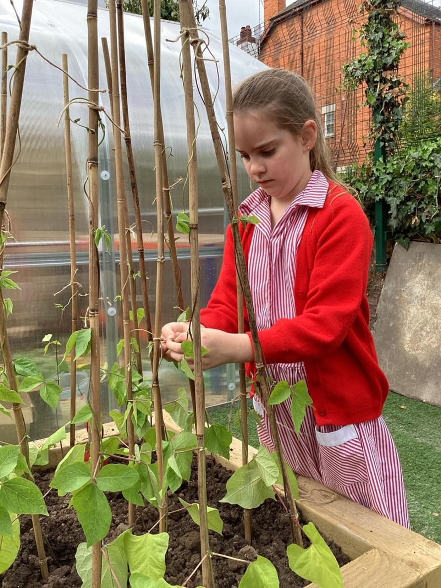 Ayscoughfee Hall School Gallery: Photos of Campus Life, Activities ...