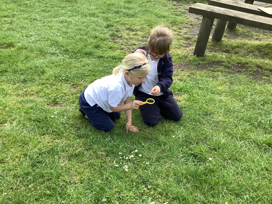 Buxton Primary School - Profile (2023)