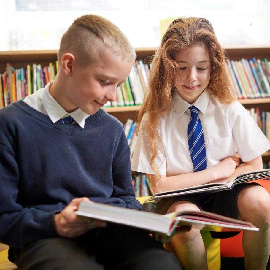 Falcon Junior School - Profile (2024)