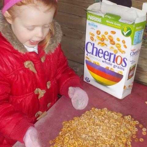 Firside Junior School - Profile (2024)