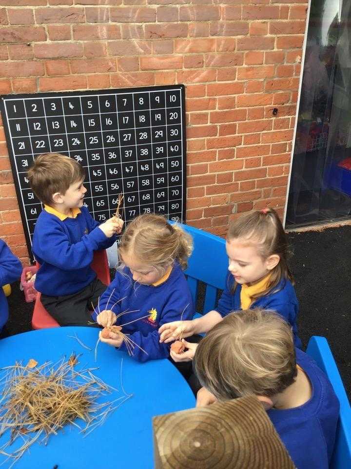 Rollesby Primary School - Profile (2024)