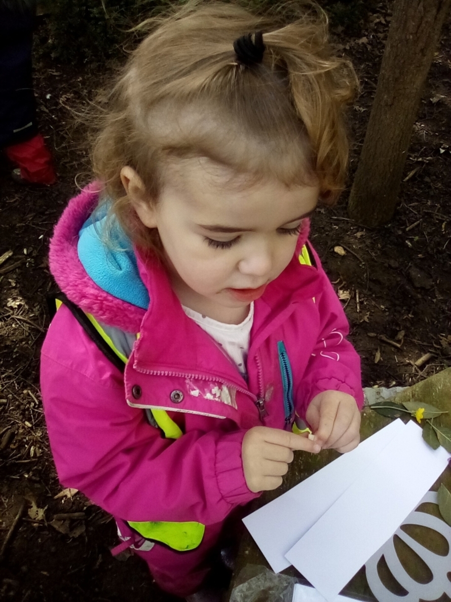 Carleton Rode Church of England Voluntary Aided Primary School - Profile