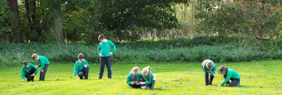 Langton Primary School - Profile (2024)