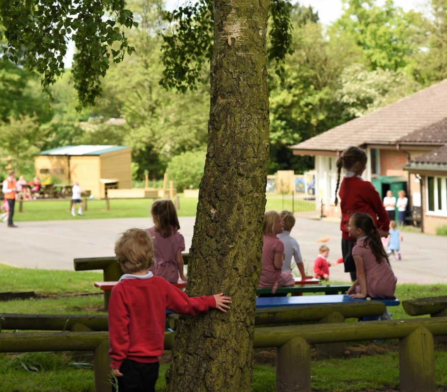 Easingwold Community Primary School - Profile (2024)