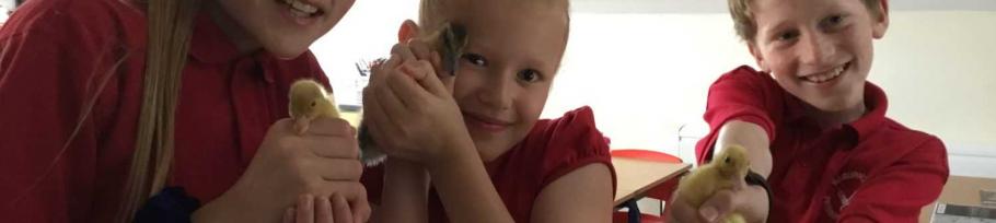 Copmanthorpe Primary School - Profile (2023)