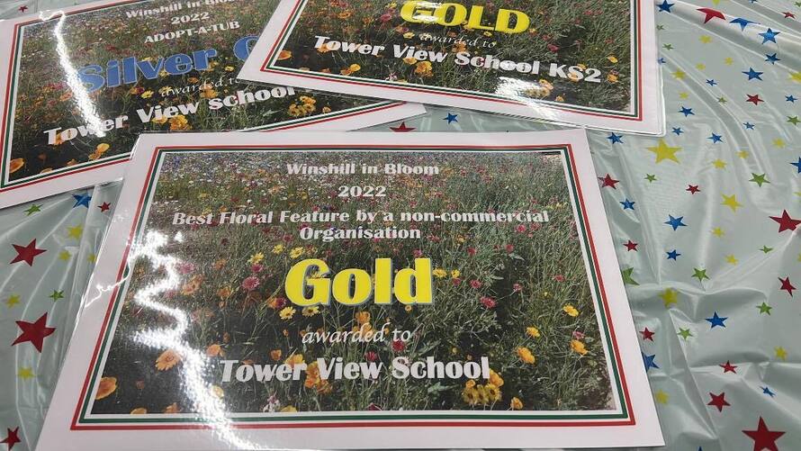 Tower View Primary School - Profile (2023)