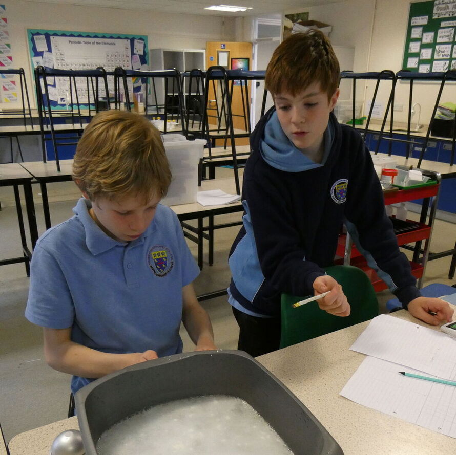 Thurston Community College - Profile (2024)