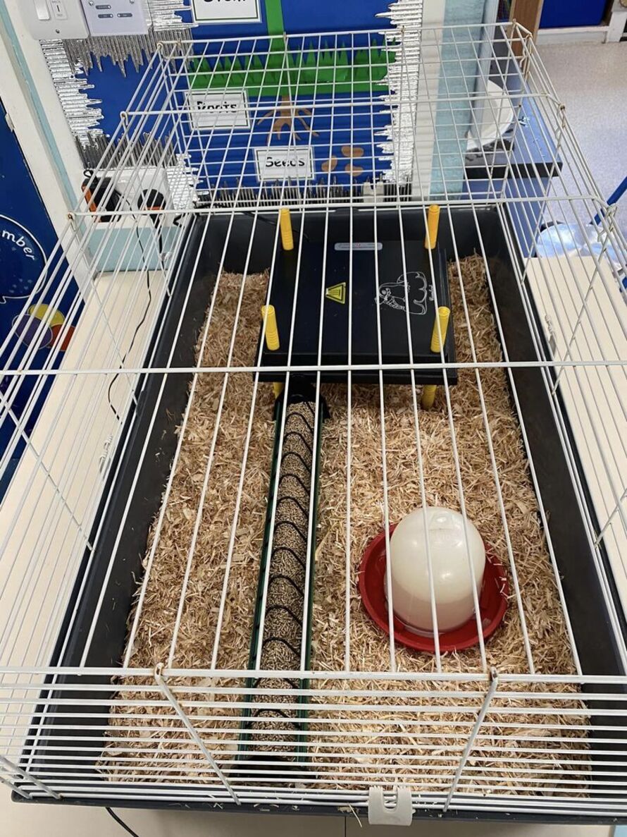 Heather Ridge Infant School - Profile (2024)