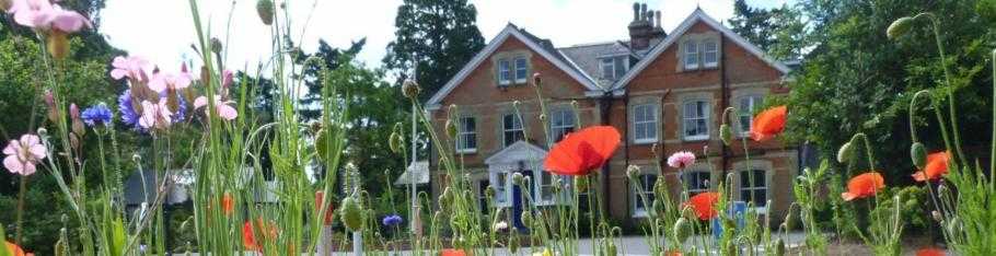 Barfield School - Profile (2023)