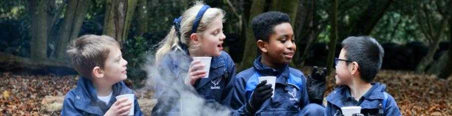 Barfield School - Profile (2023)