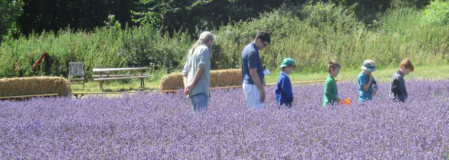 Compton and Up Marden CofE Primary School - Profile (2023)