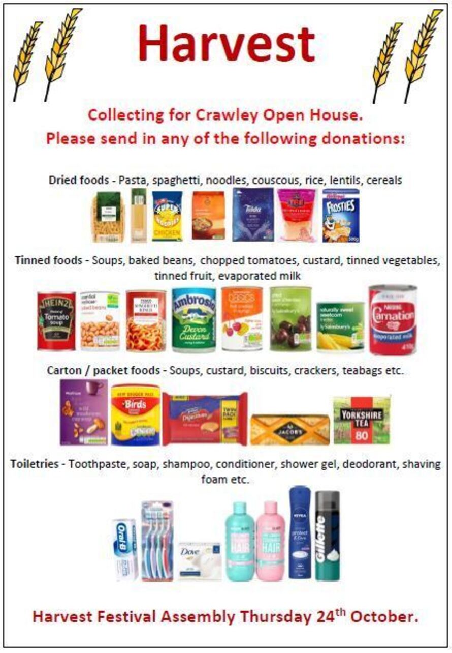 Serenity School Crawley - Profile (2024)