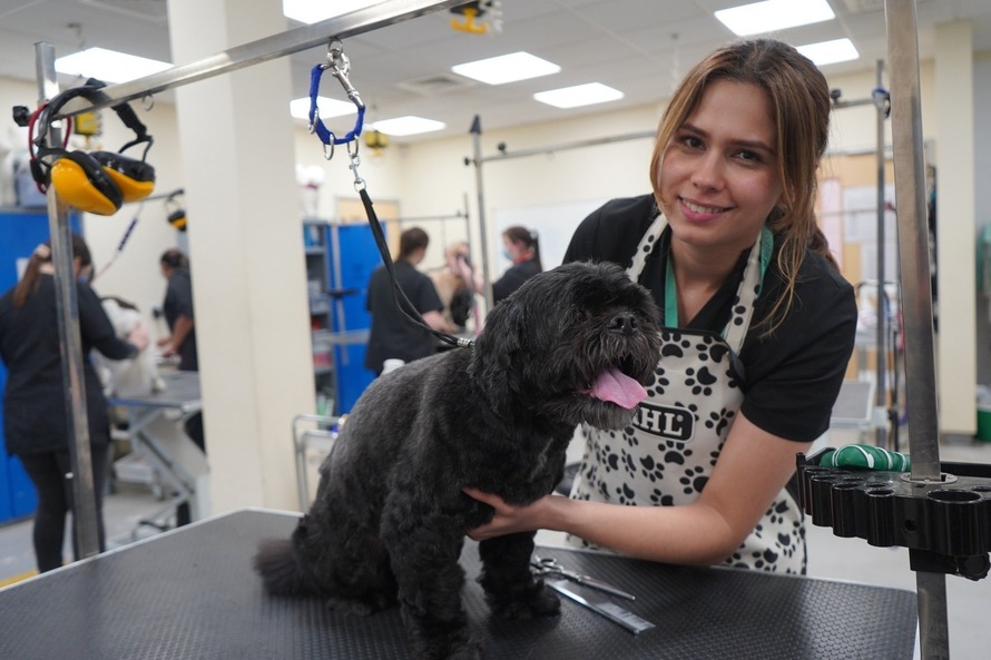 Capel Manor College - Profile (2023)