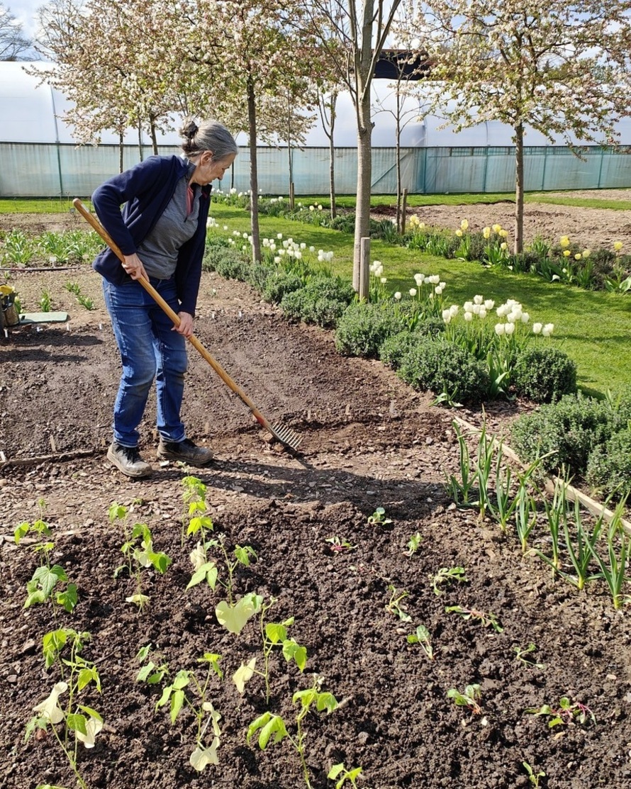 Capel Manor College - Profile (2023)