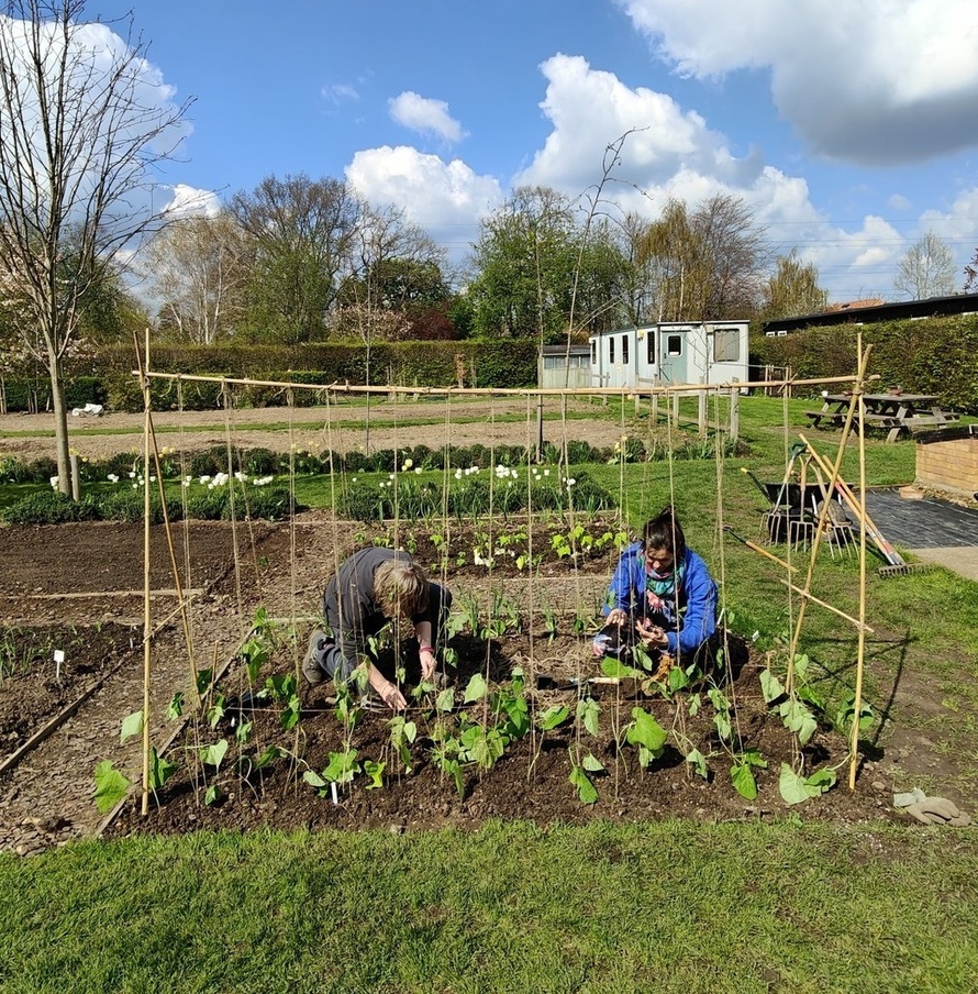 Capel Manor College - Profile (2023)