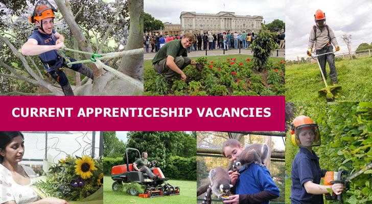 Capel Manor College - Profile (2023)