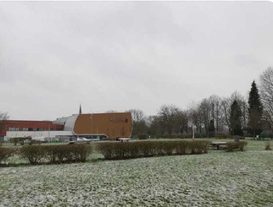 Royal College Manchester (Seashell Trust) - Profile (2024)