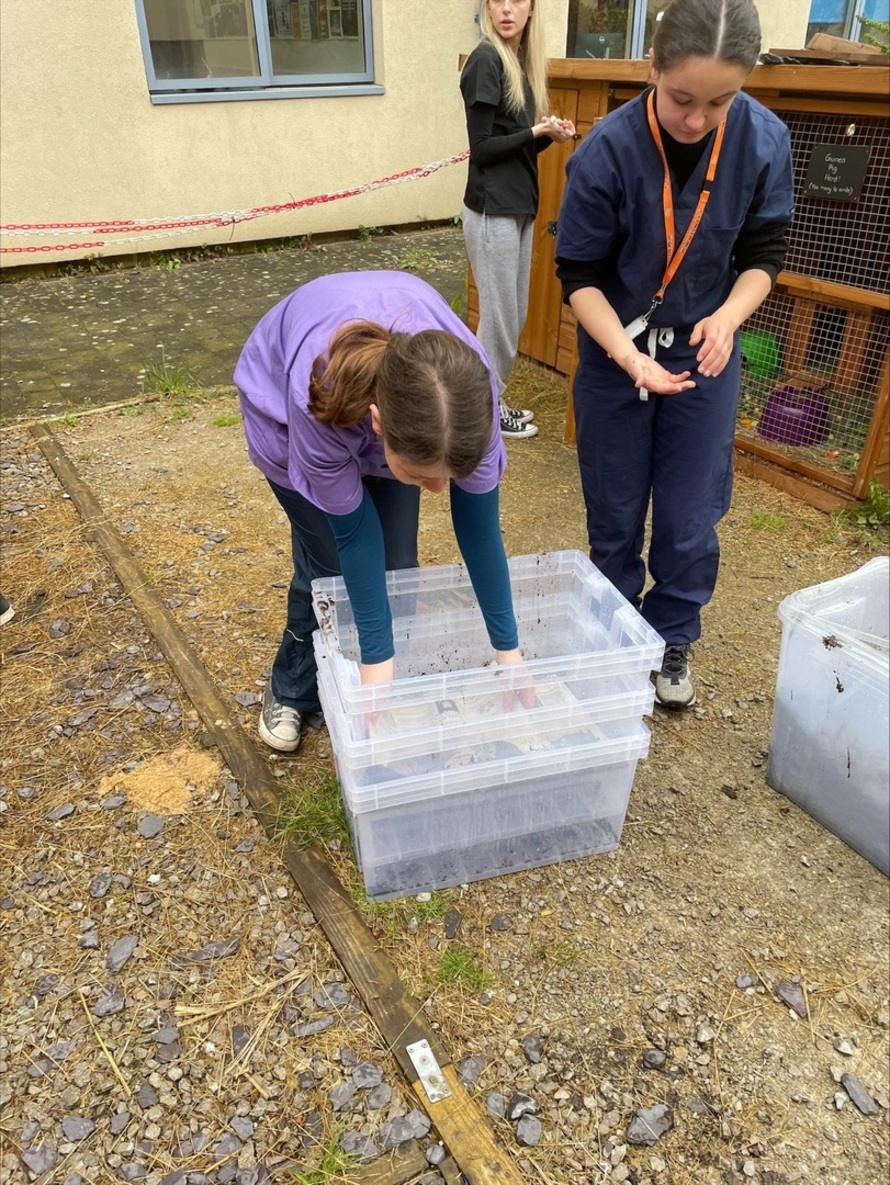 The Sheffield College - Profile (2023)