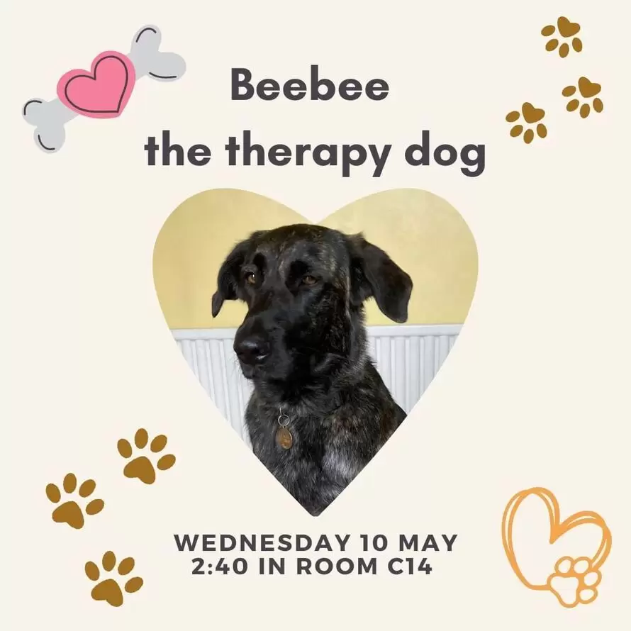 Long Road Sixth Form College - Profile (2024)