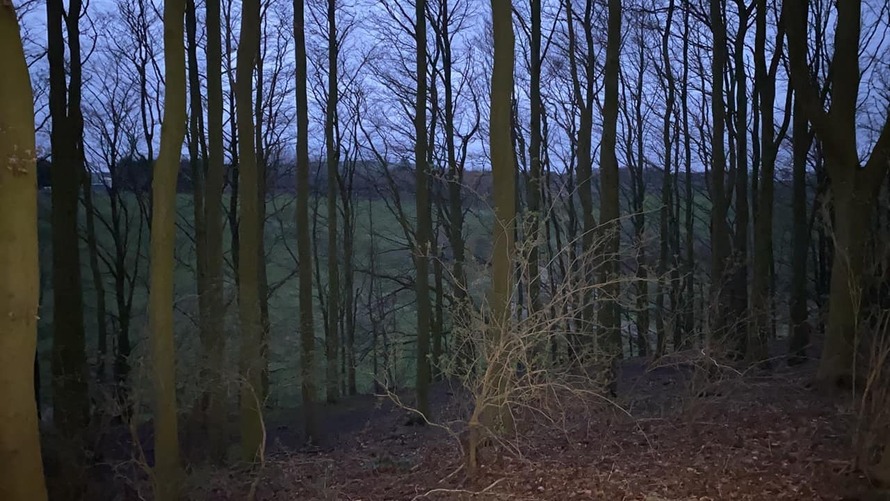 Watercliffe Meadow Community Primary School - Profile (2023)