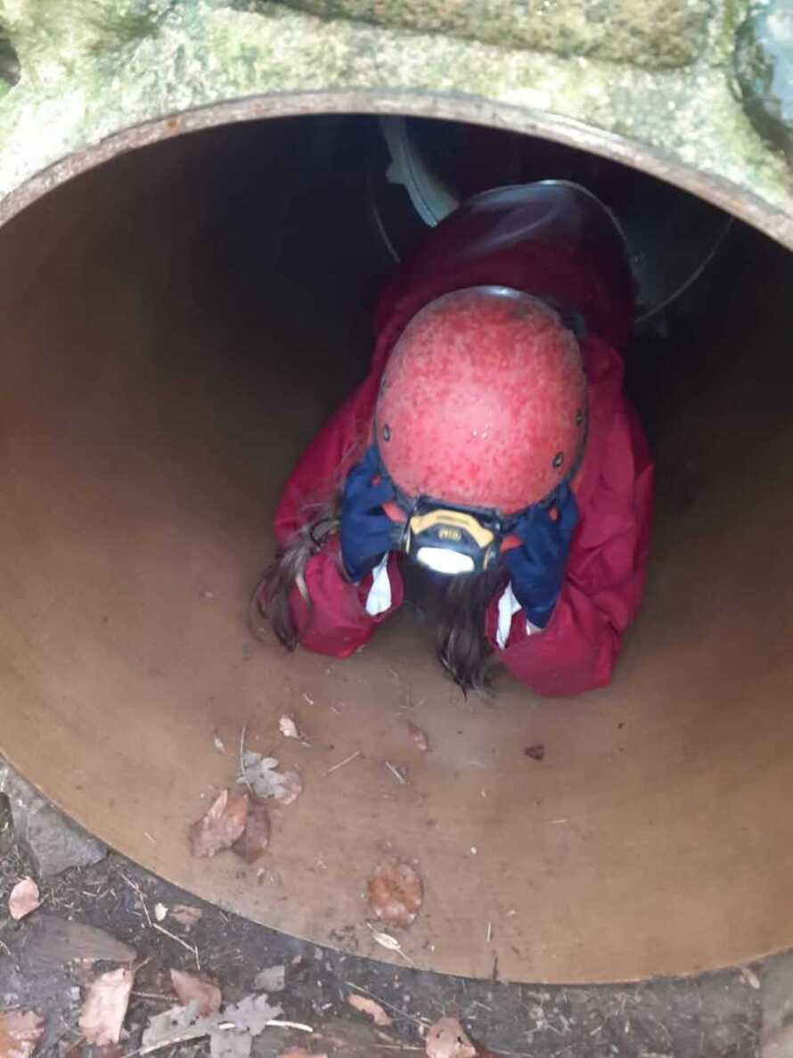 Watercliffe Meadow Community Primary School - Profile (2023)