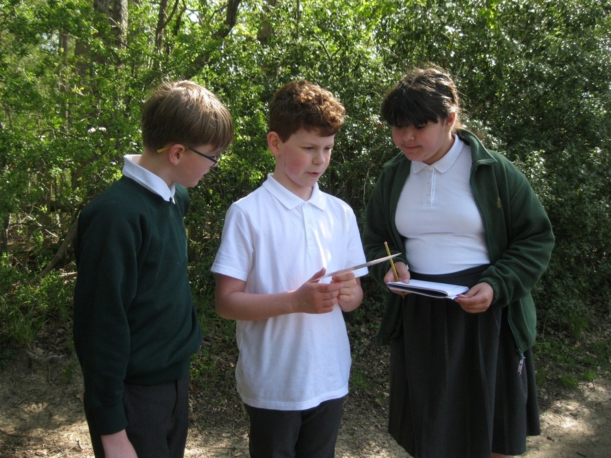 Whiteley Primary School Gallery: Photos of Campus Life, Activities ...