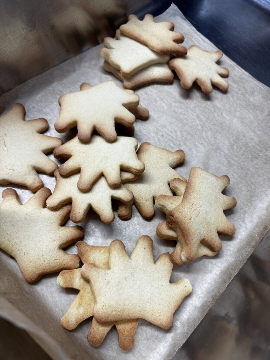 Southfields Primary School in Coventry - Profile (2023)