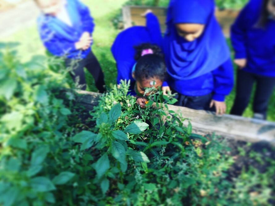 Risley Avenue Primary School - Profile (2023)