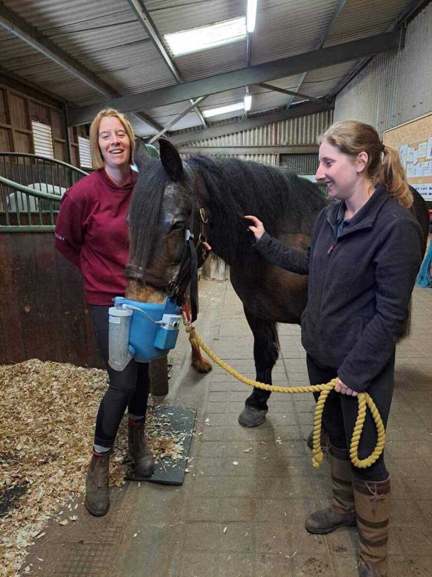 Minstead Training Project - Profile (2024)