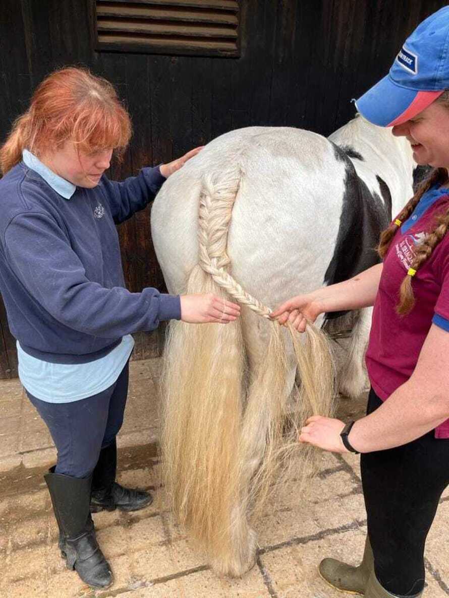 The Fortune Centre of Riding Therapy - Profile (2023)